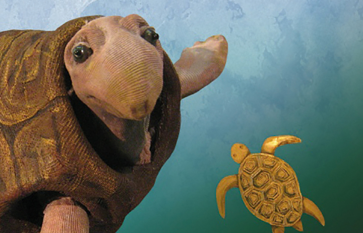 Journey of Turtle - Curve Theatre, Leicester